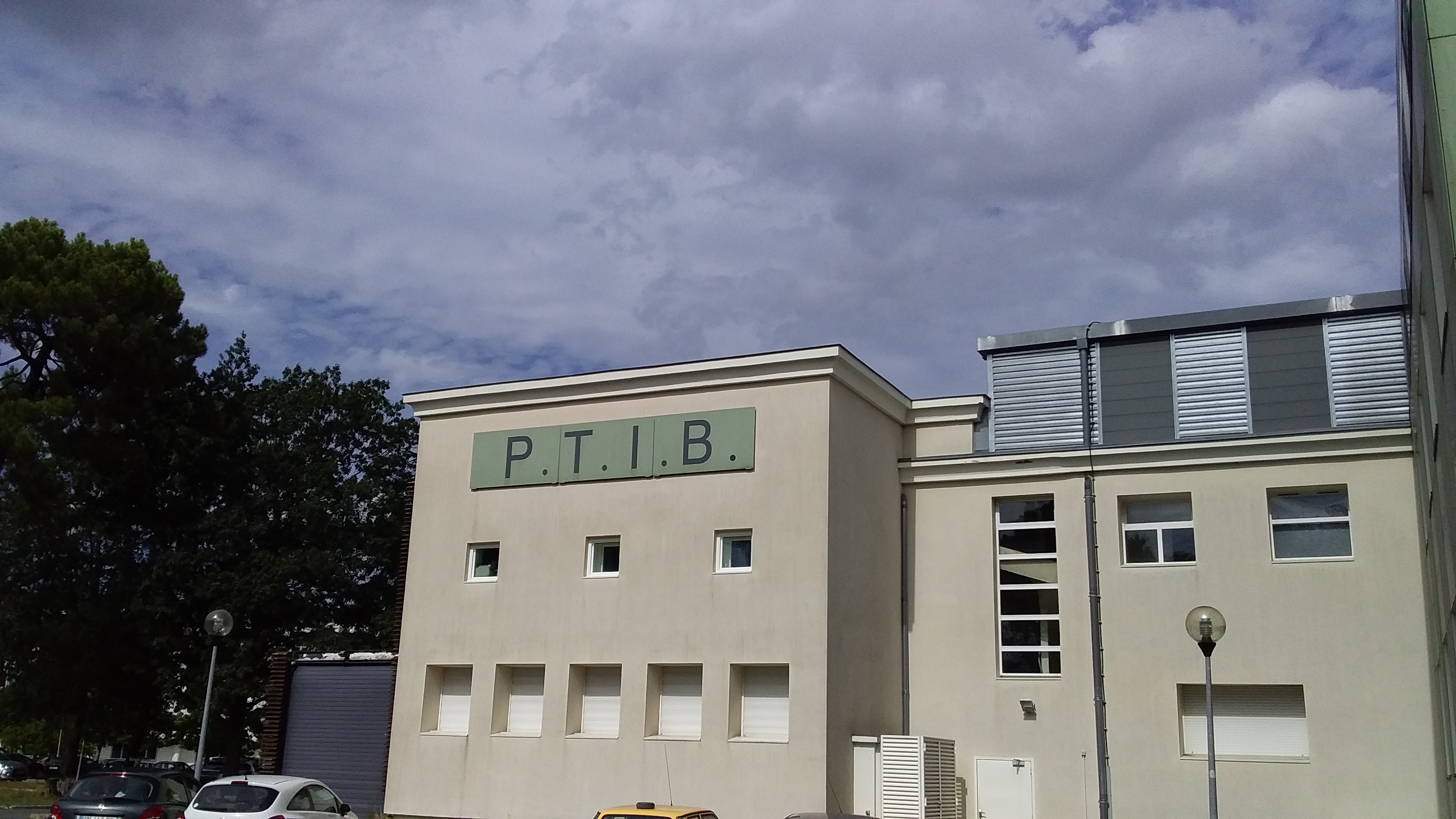 Bienvenue sur le site de la P.T.I.B.